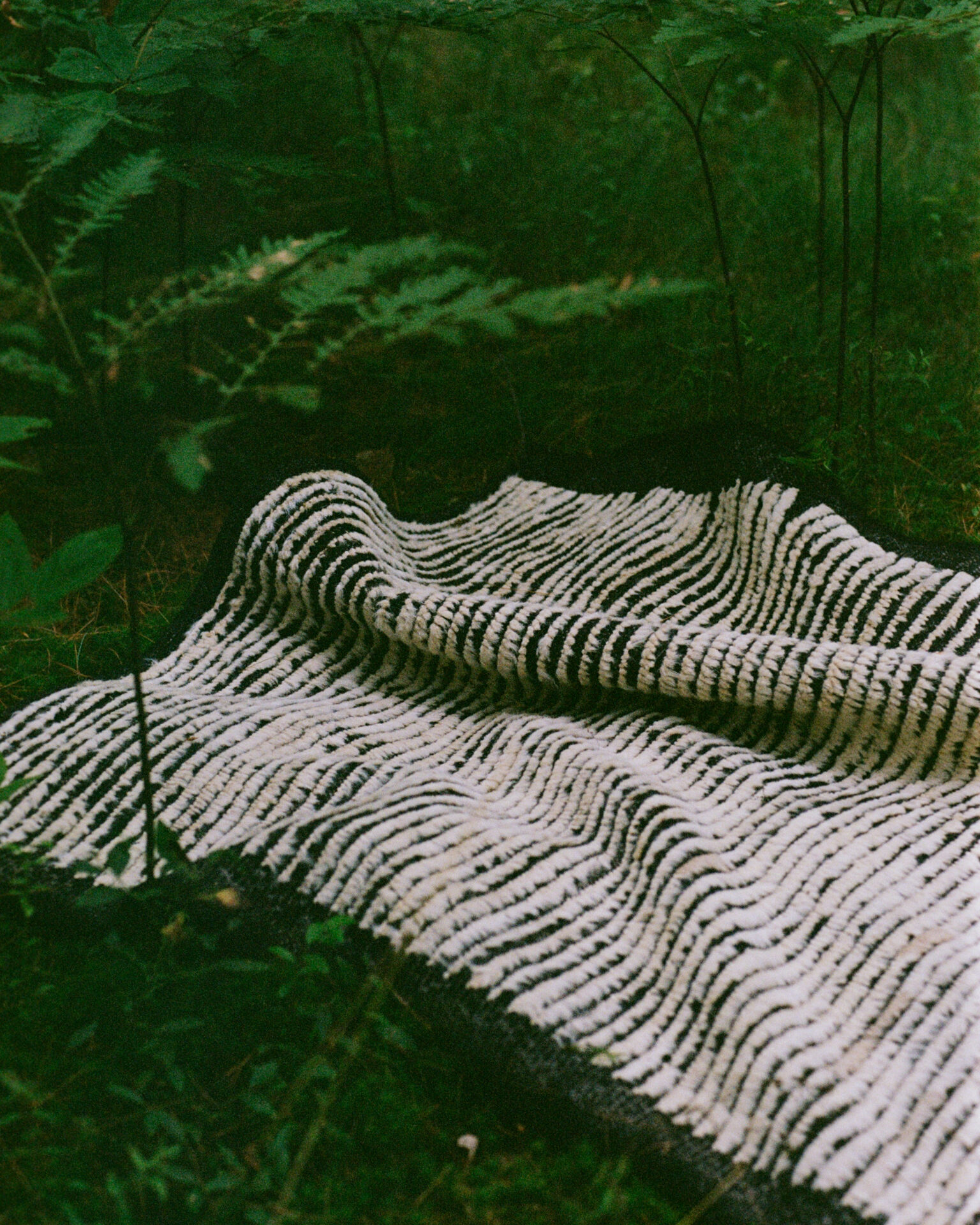 The Karakul Collection - Elte Journal