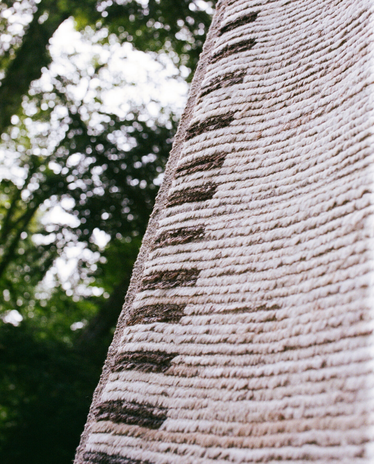 The Karakul Collection - Elte Journal