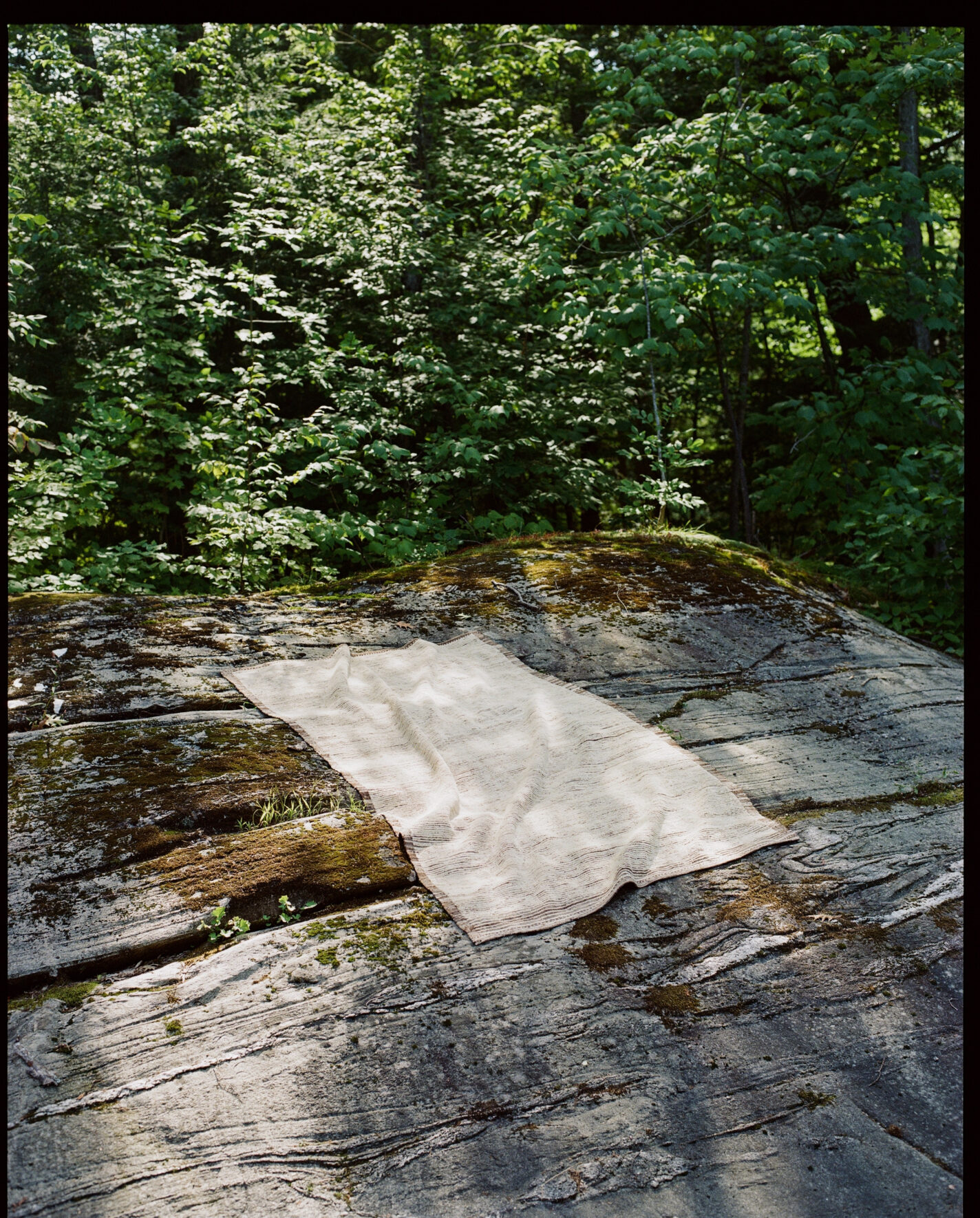 The Karakul Collection - Elte Journal